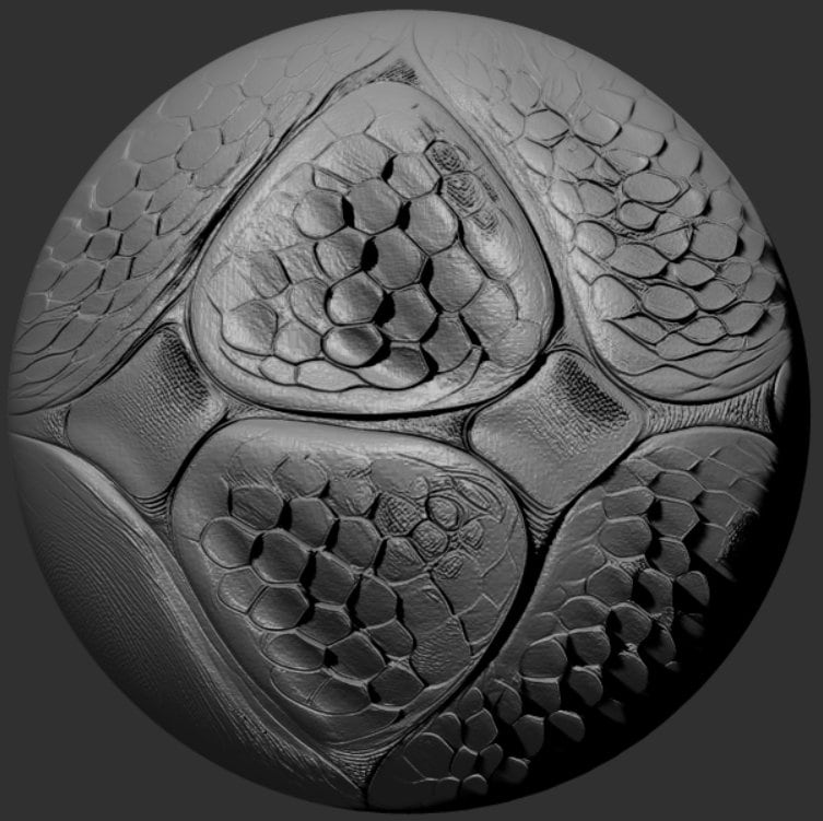 12 Reptile Skin Alphas for Zbrush - Etsy