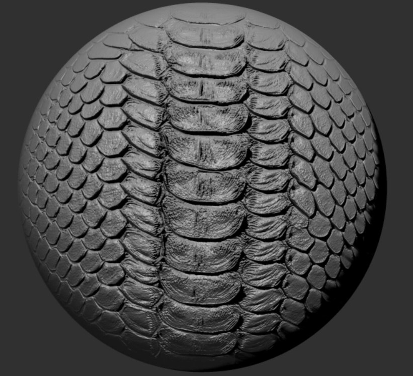 12 Reptile Skin Alphas for Zbrush - Etsy
