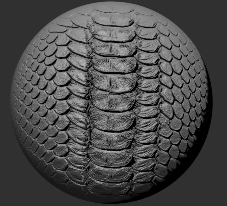12 Reptile Skin Alphas for Zbrush - Etsy