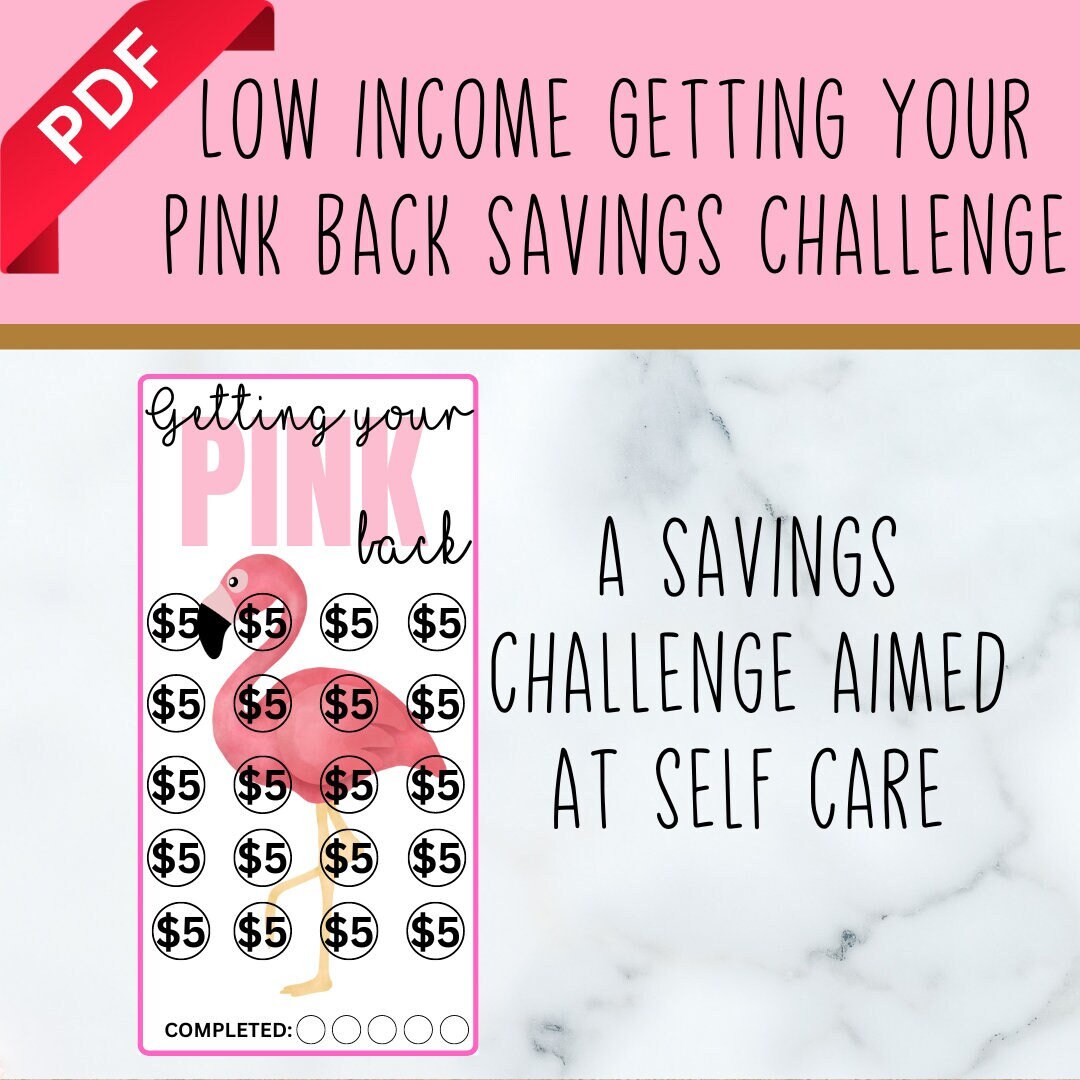 Getting Your Pink Back Savings Challenge Pack | Self Care | Digital ...