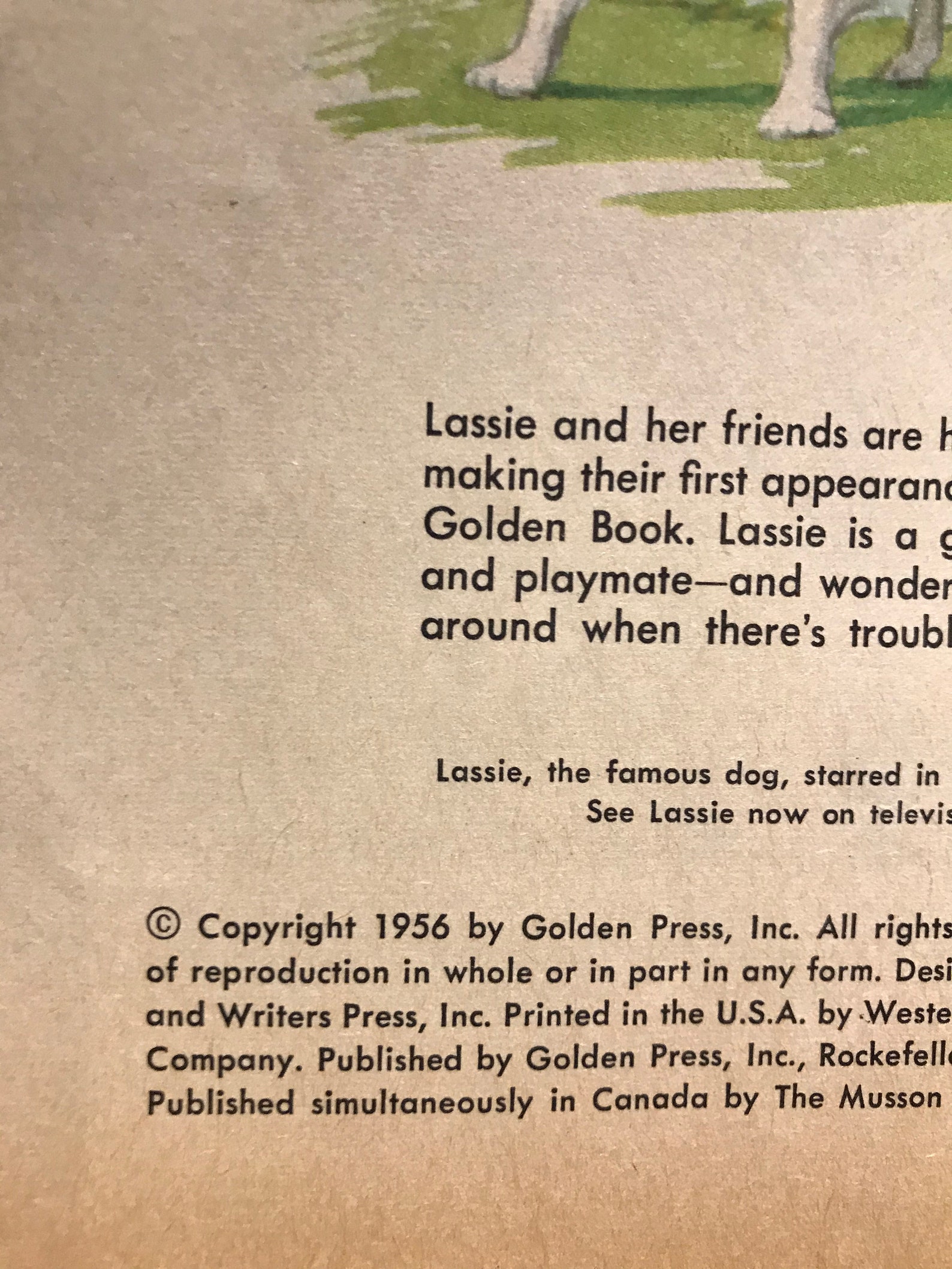 Vintage 1956 Little Golden Book Lassie Shows the Way - Etsy
