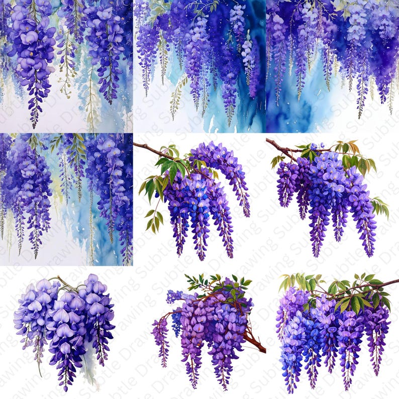 12+ Abstract Wisteria Flower Cliparts | High Quality Abstract Digital ...