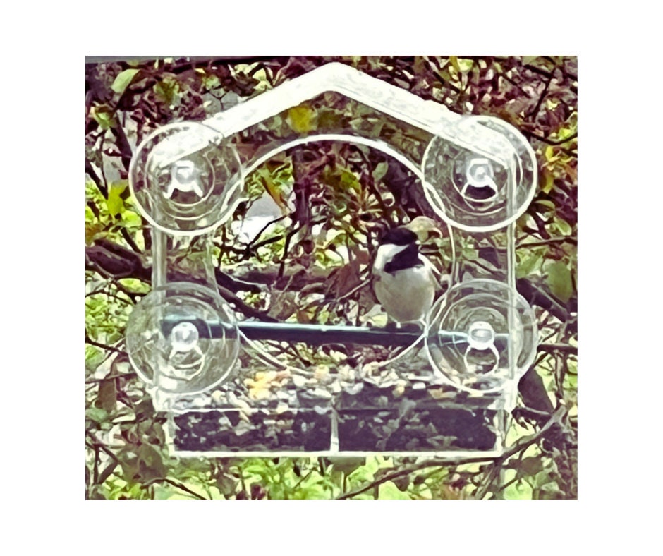 Window Bird Feeder Clear Bird Feeder With Strong Suction Cup Window ...