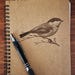 Personalized Bird Journal Nature Notebook Bird Diary for Nature Lover ...