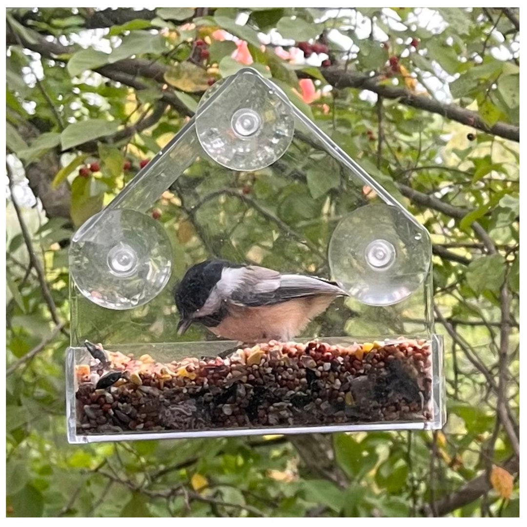 Bird Feeder Window Bird Feeder Bird Feeder Window Bird Window Feeder ...