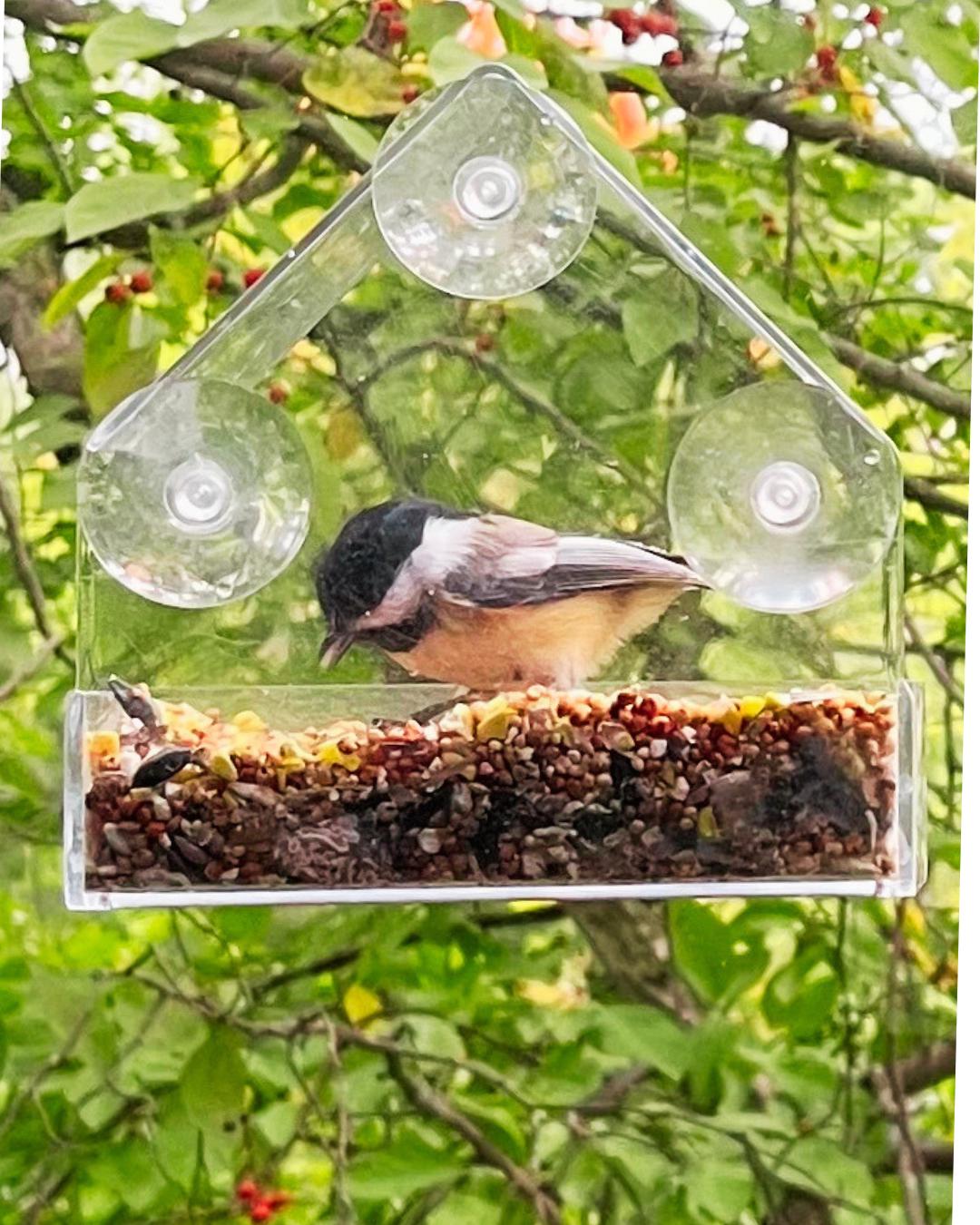 Custom Bird Feeder Personalized Window Bird Feeder Gift for Bird ...