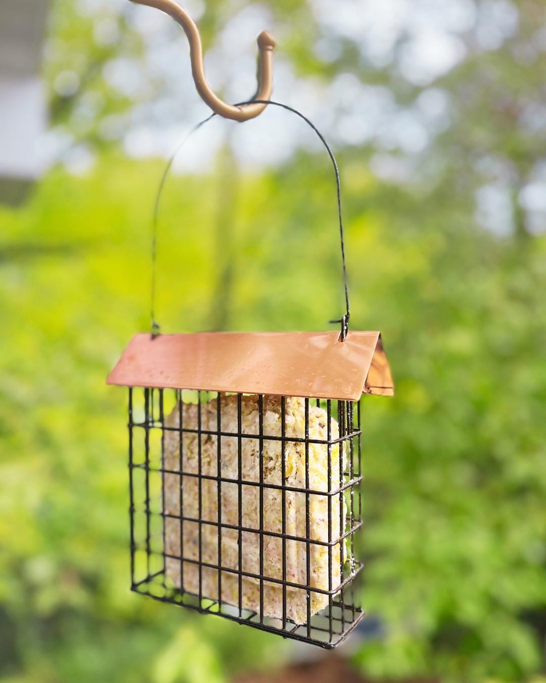 Copper Bird Feeder Gift Outdoor Hanging Suet Feeder Suet Metal Cage ...