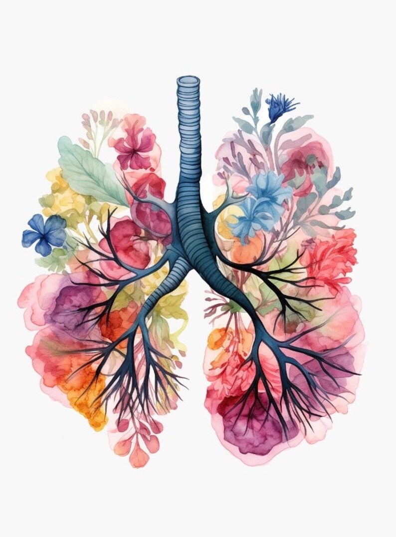 Watercolor Lungs Sticker - Etsy