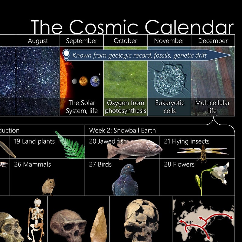 Calendar Solar 2025 2026 - Etsy