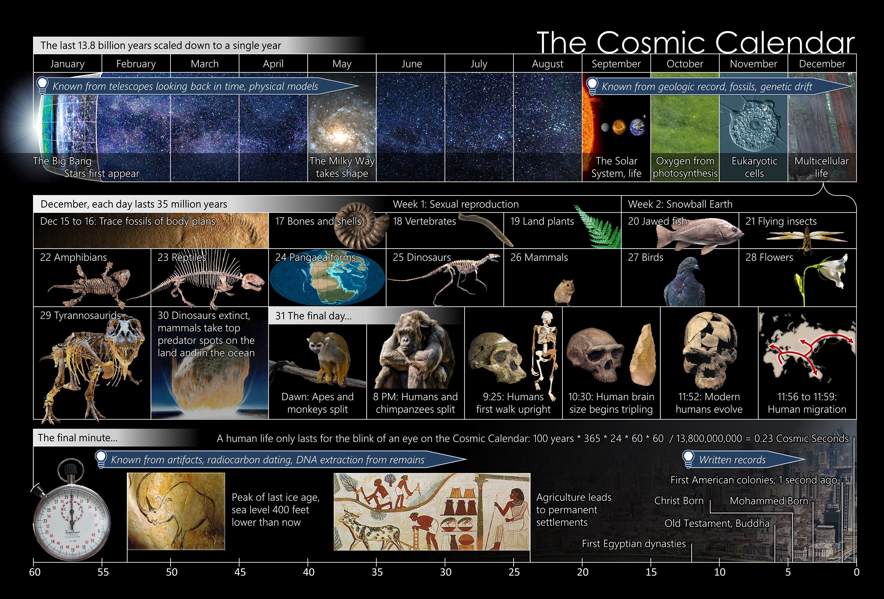 Cosmic Calendar Landscape Poster - Etsy