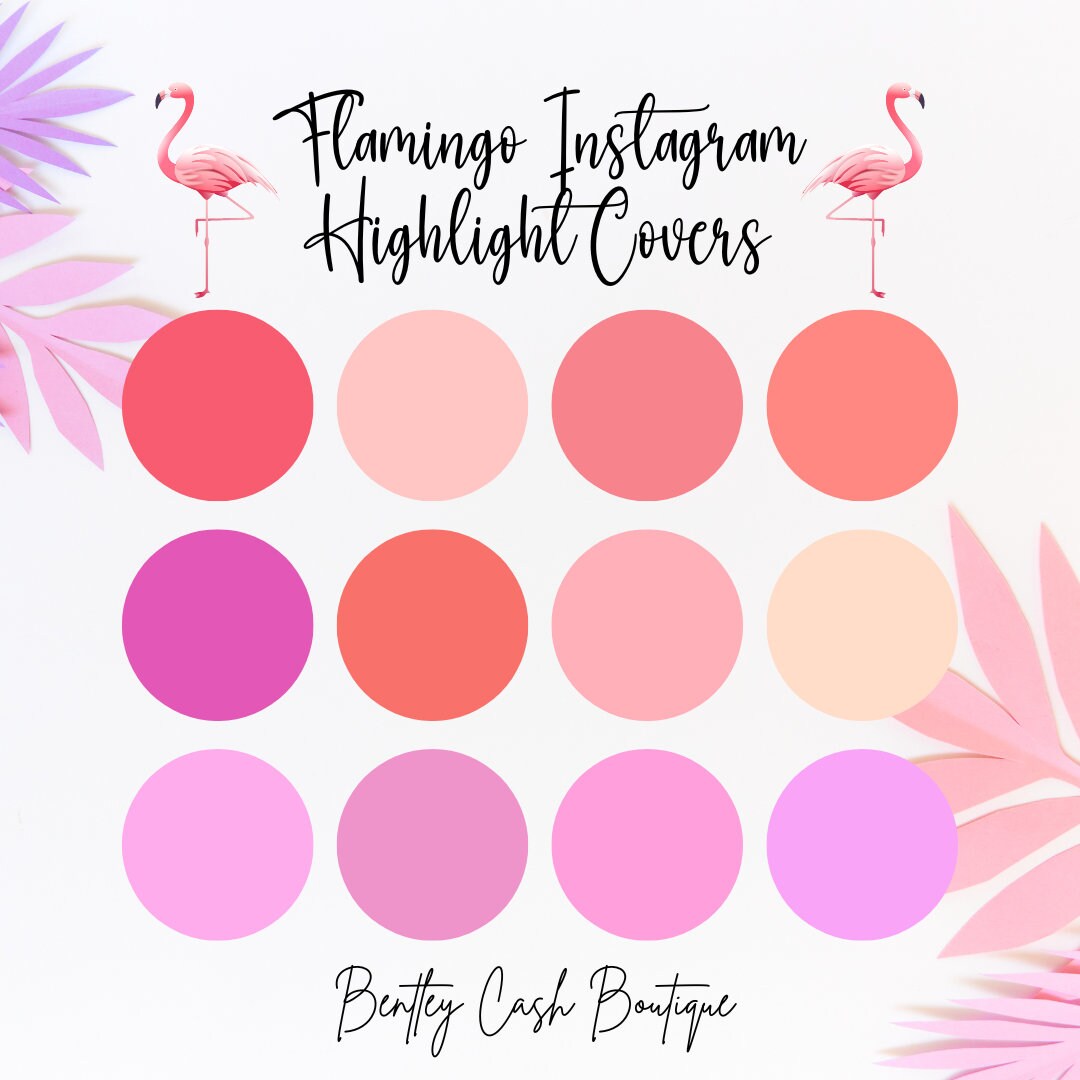 Flamingo Instagram Highlight Covers - Rose Instagram Story Covers ...