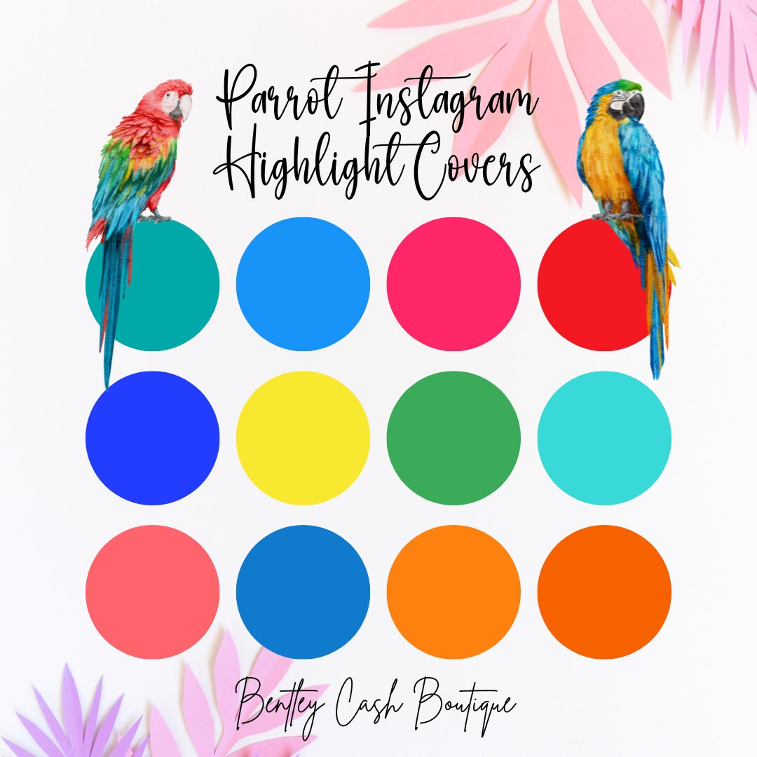 Parrot Instagram Highlight Covers - Rose Instagram Story Covers ...