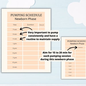 Pumping Schedule, Pumping Log Chart, Pump, Printable Download, Track ...