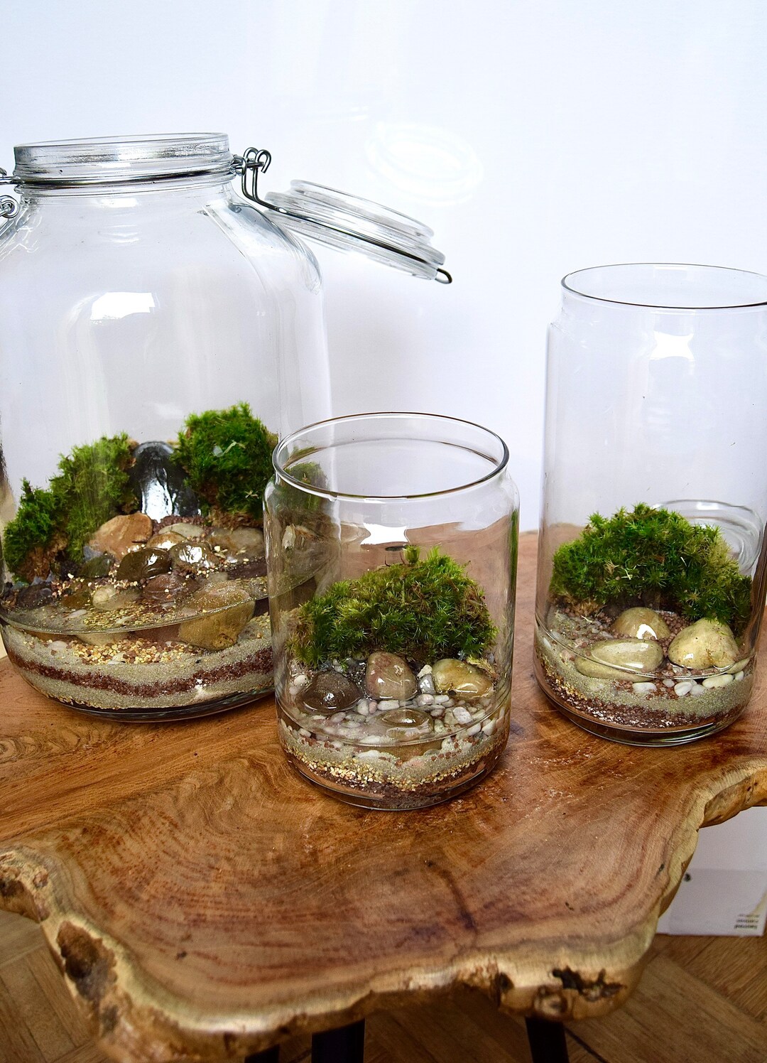 140 Complete This Translation. Closed Terrarium Live Moss / Resin Lake ...
