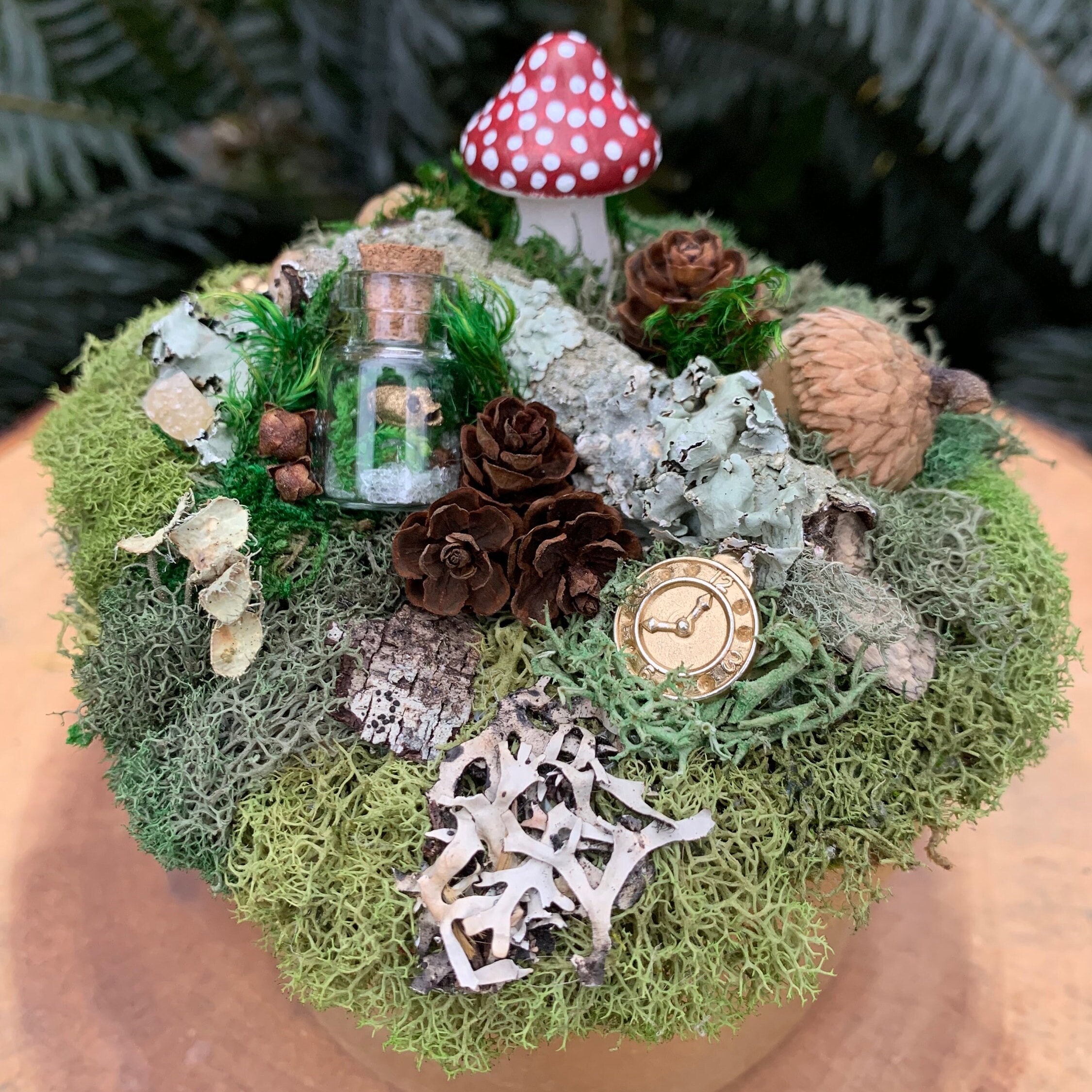 Woodland Jewelry Box for Women, Witchy Gifts for Best Friend ...