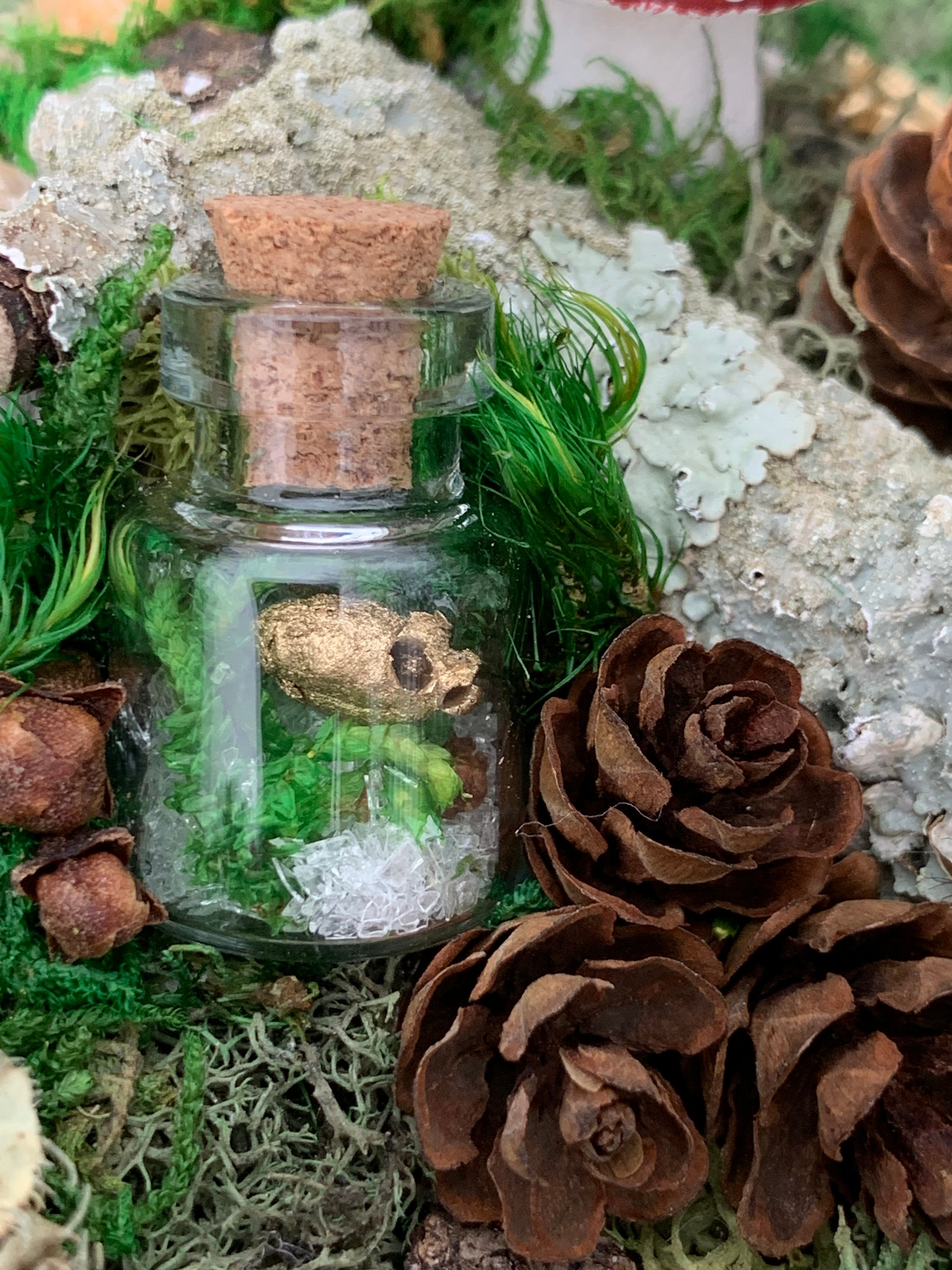 Woodland Jewelry Box for Women, Witchy Gifts for Best Friend ...