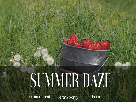 Summer Daze Perfume Oil Tomato Leaf Strawberry Fern 1 Ml | Etsy