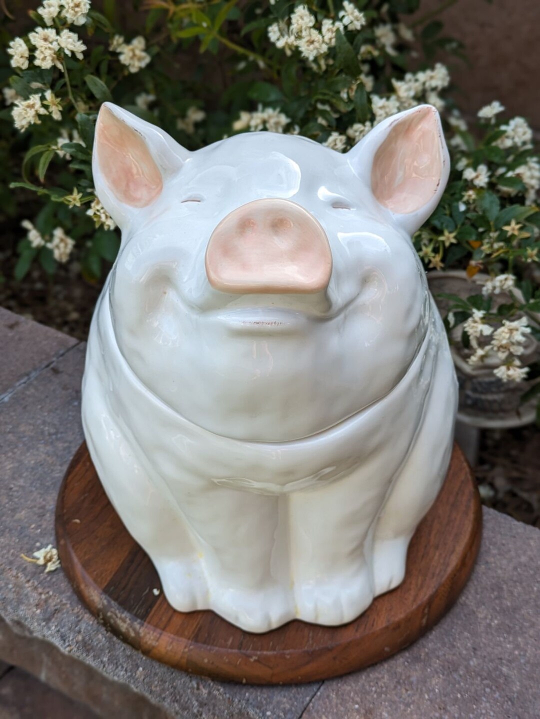 2000S Pier 1 Imports Hand Painted Earthenware Pig Cookie Jar/marked ...