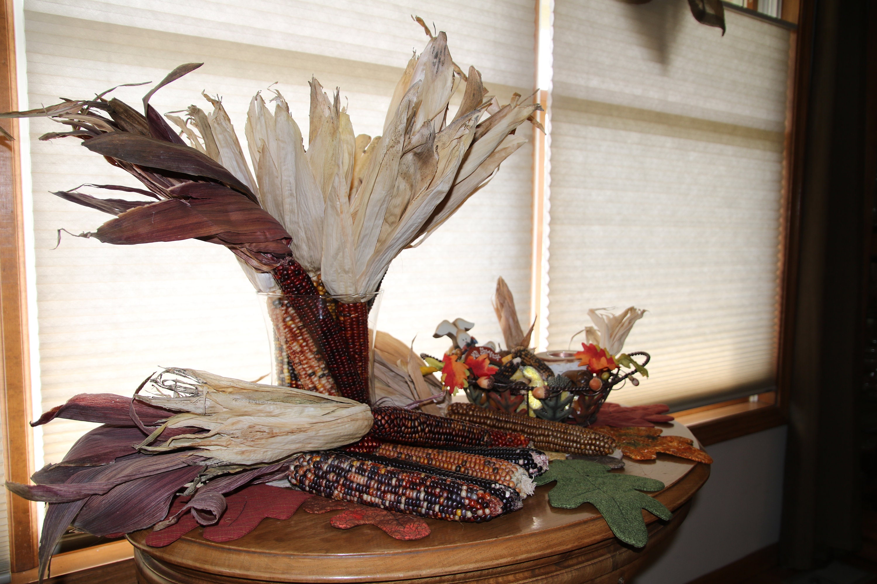 Decorative Indian Corn - Family Farm Grown - 6 Ears With Husk - Etsy