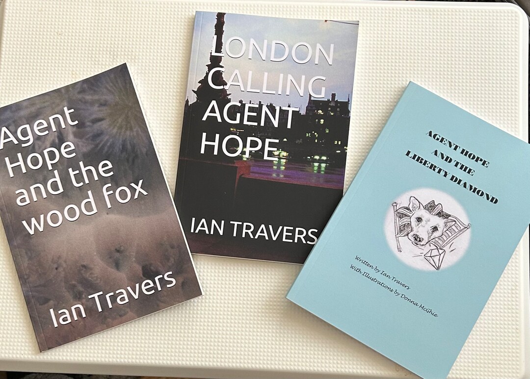 Agent Hope Story Books - Etsy