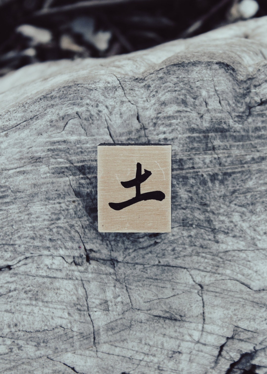 Earth Chinese Zodiac Symbol 2001 Rubber Stamp - Etsy