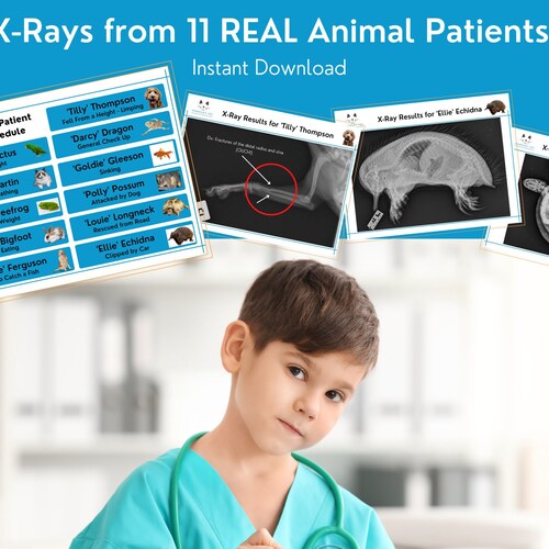 Animal X-rays for Vet Pretend Play Perfect Addition to Any - Etsy