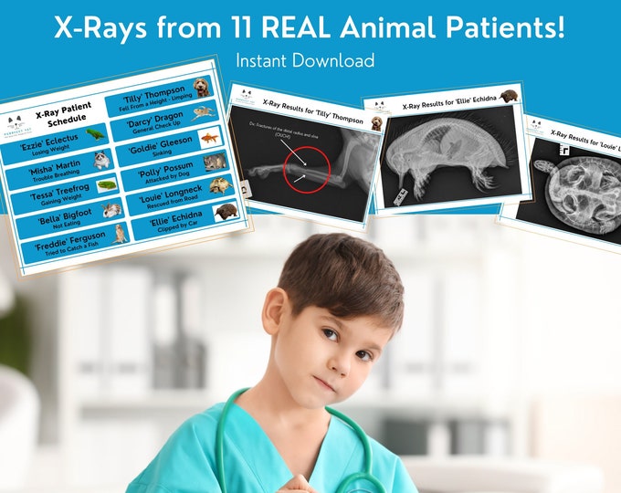 Animal X-rays for Vet Pretend Play - Perfect Addition to Any Veterinary ...