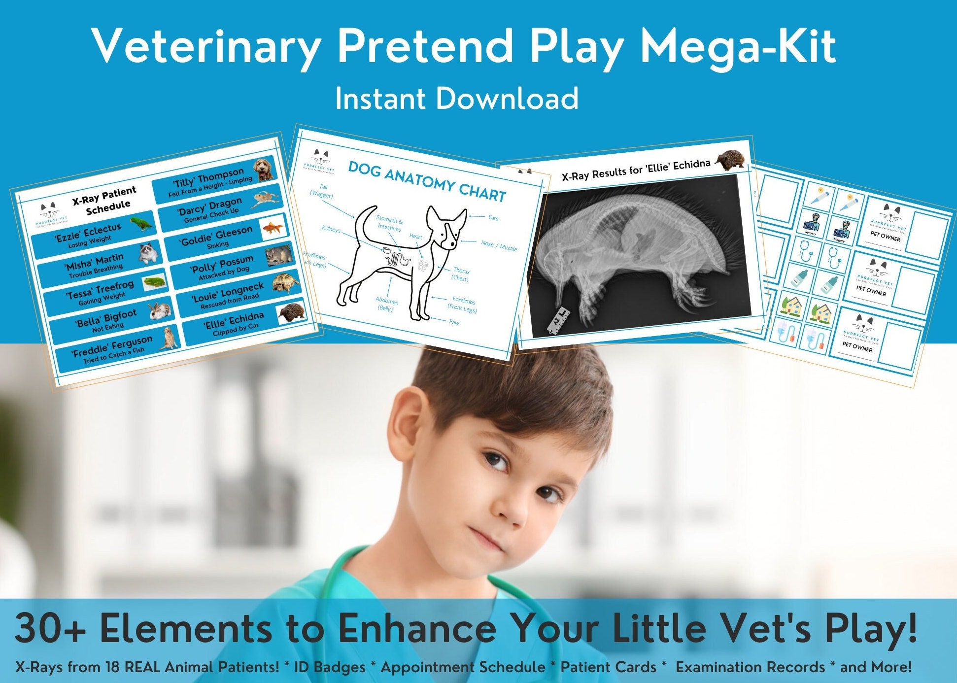 Veterinary Pretend Play Mega-kit With 30 Instant-download - Etsy