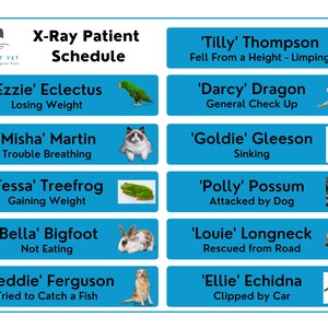 Animal X-rays for Vet Pretend Play Perfect Addition to Any Veterinary ...