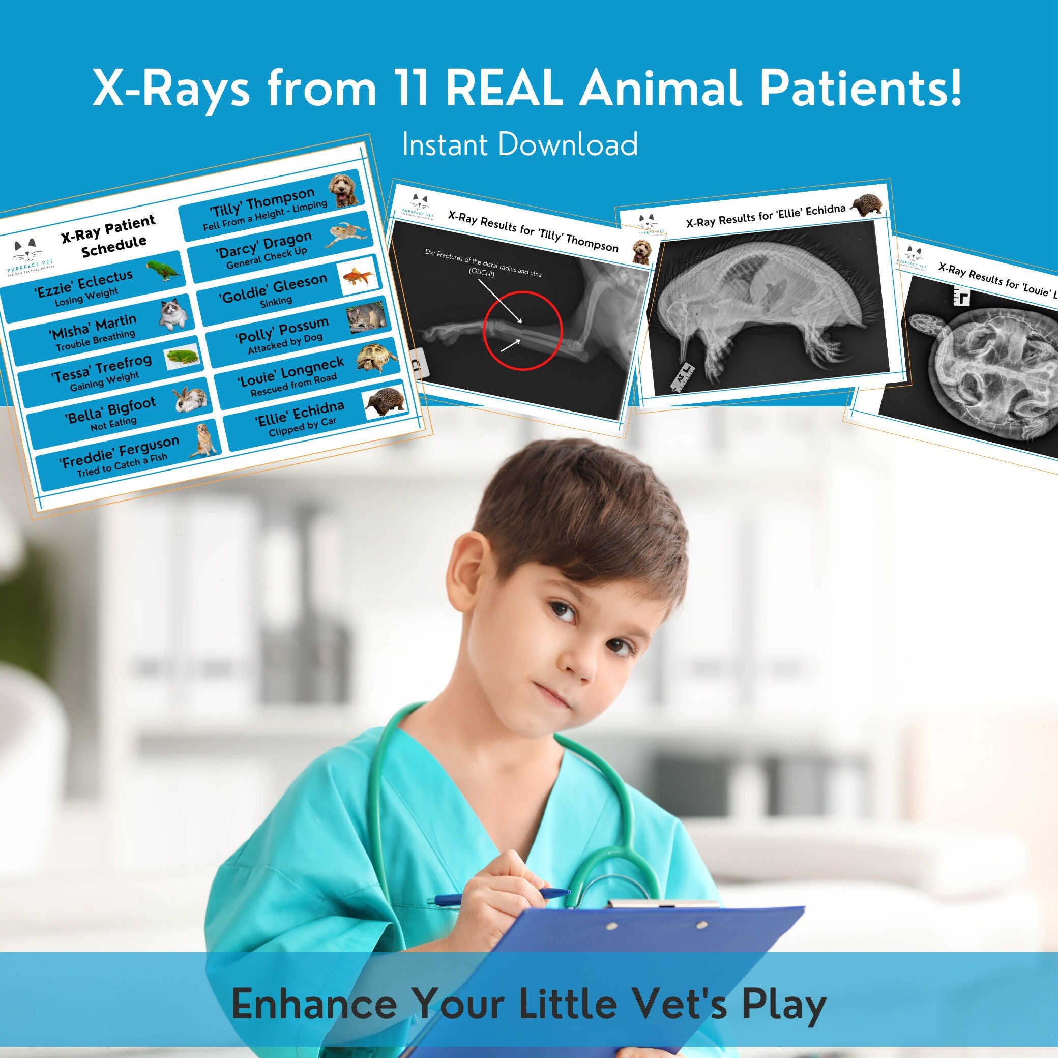 Animal X-rays for Vet Pretend Play Perfect Addition to Any Veterinary ...