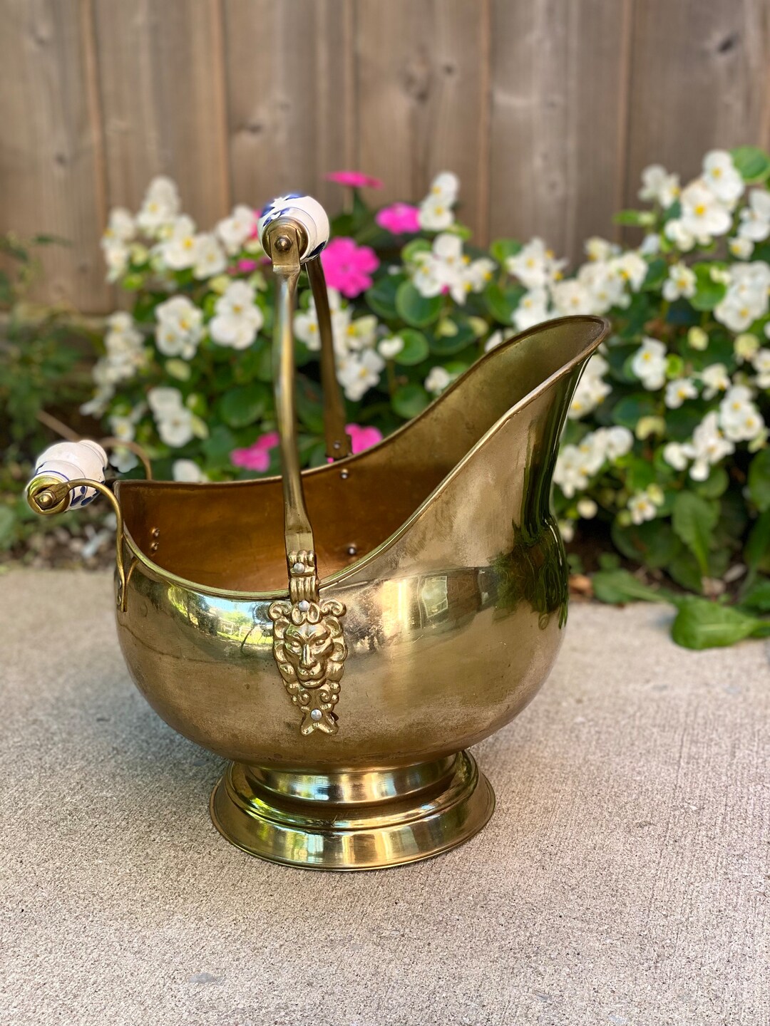 Brass Lion Coal Scuttle With Ceramic Handles - Etsy