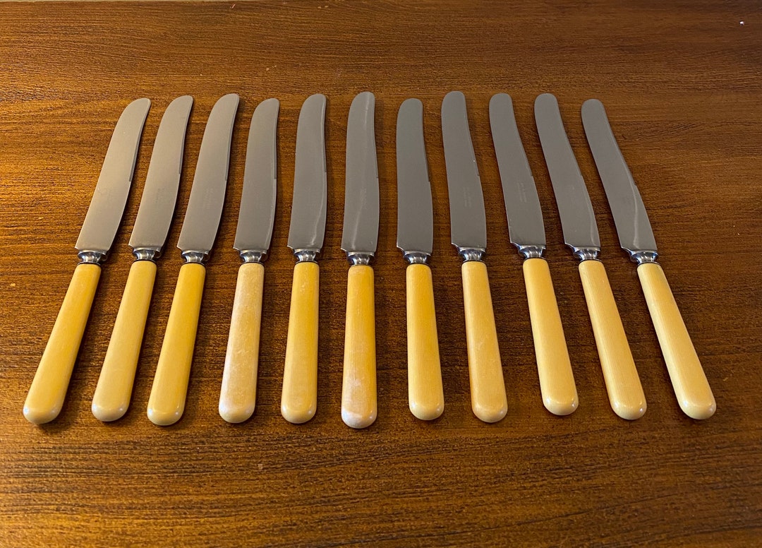 Vintage WM. A Rogers Stainless Steel Set of 11 Knives - Etsy
