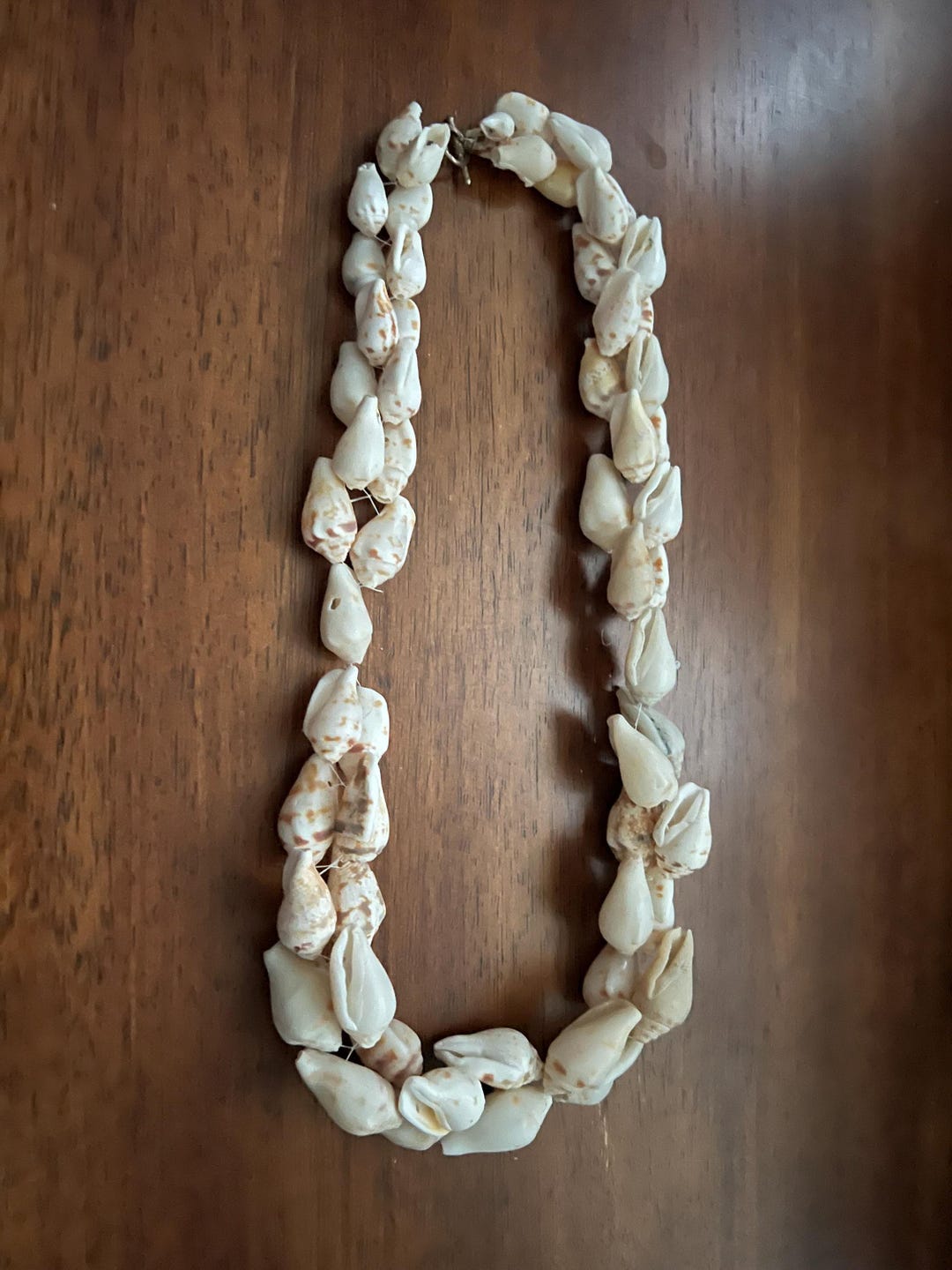 Hawaiian Shell Lei - Etsy