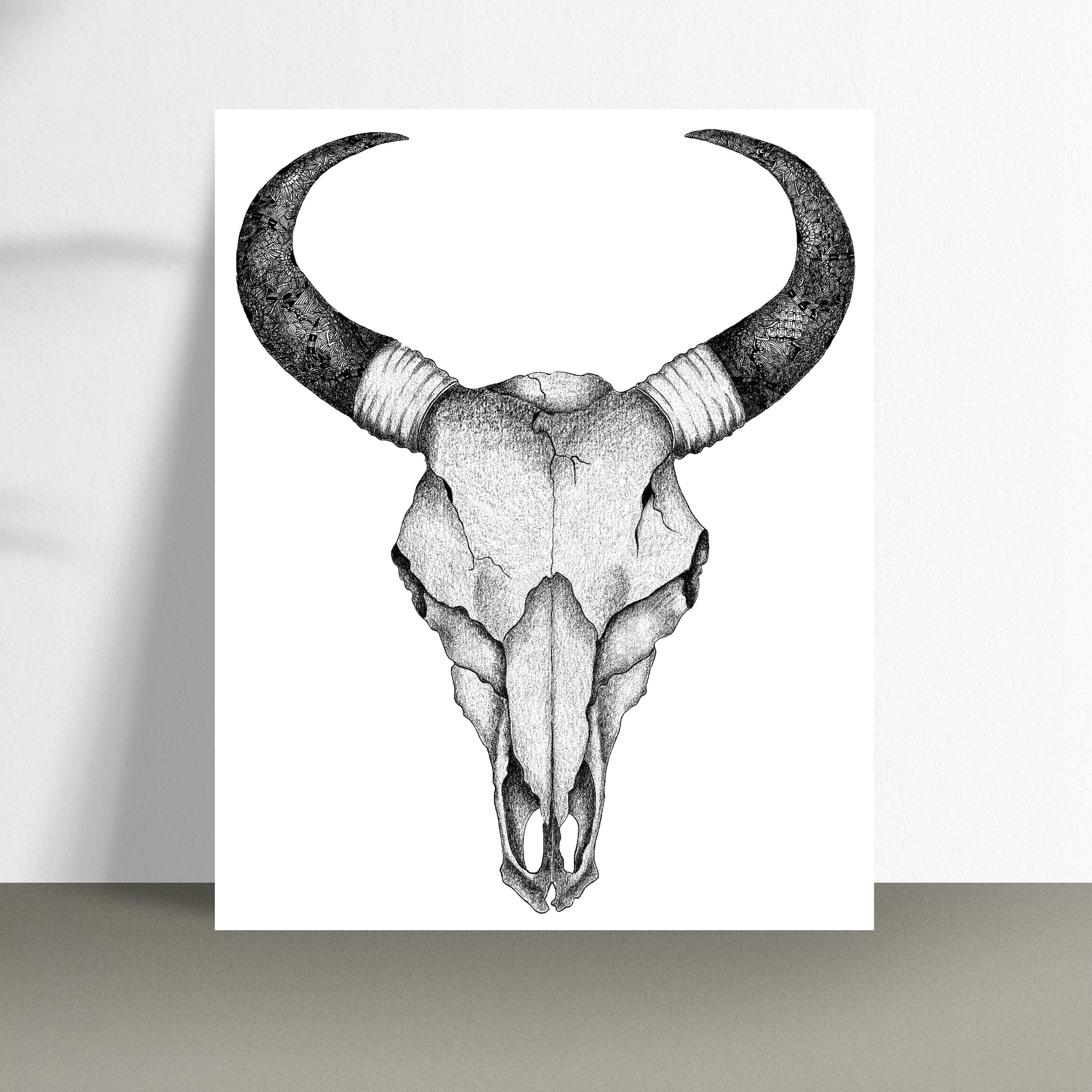 Bison Skull Drawing