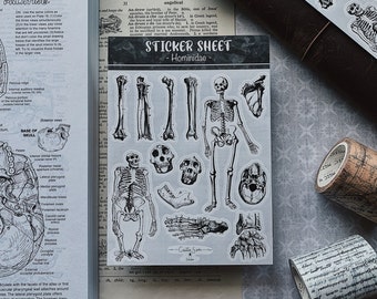 Human Anatomy Sticker Sheet Anatomy Stickers Vintage - Etsy