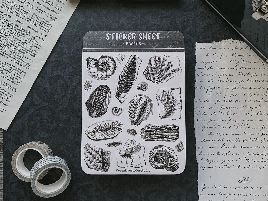 Fossils Sticker Sheet Vintage Stickers Fossil Decals - Etsy
