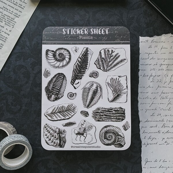 Fossil Sticker - Etsy