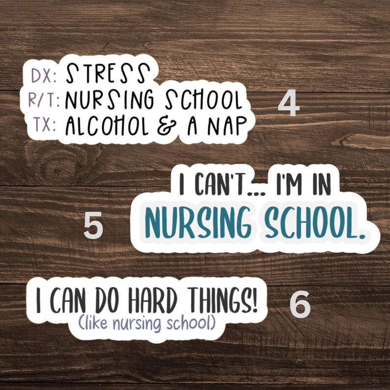 Nursing Student Sticker Pack Set individual or as a Set Perfect Gift ...