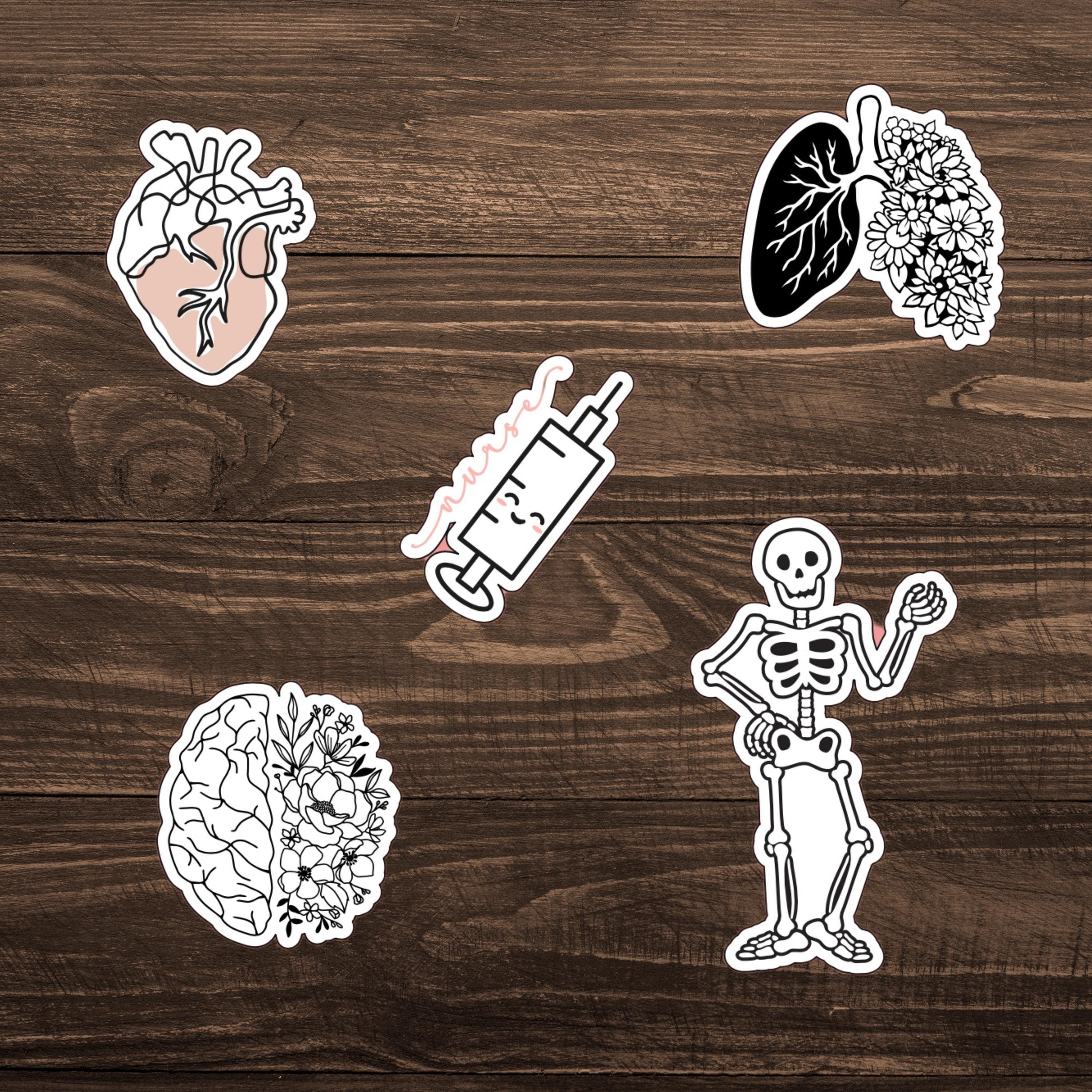 5 Pack Nursing Anatomy Stickers: Brain, Heart, Lungs, Skeleton, Nurse ...