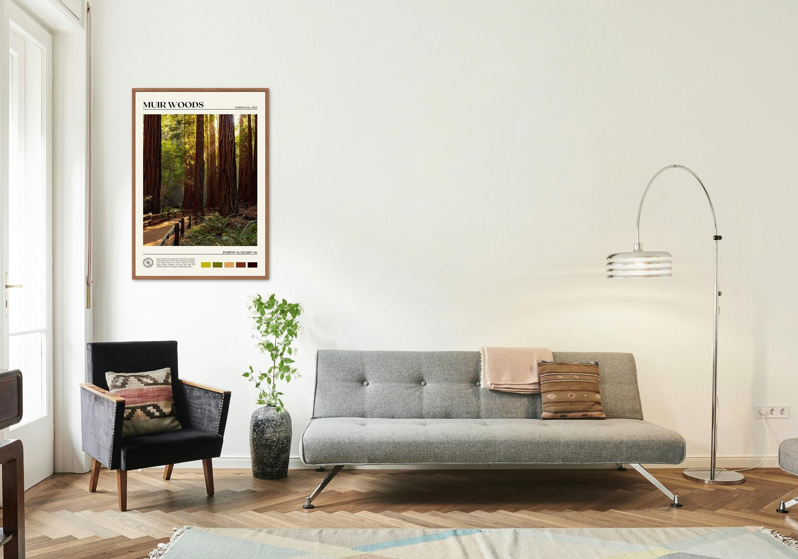 Real Photo, Muir Woods National Monument Print, Muir Woods Wall Art ...