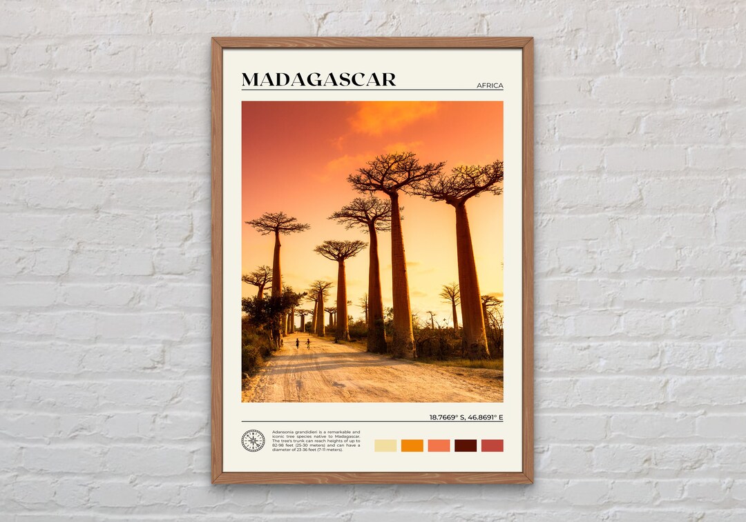 Real Photo, Madagascar Print, Madagascar Wall Art, Madagascar Poster ...