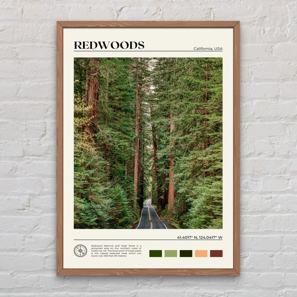 California Redwoods - Etsy