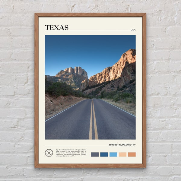 Texas Poster - Etsy