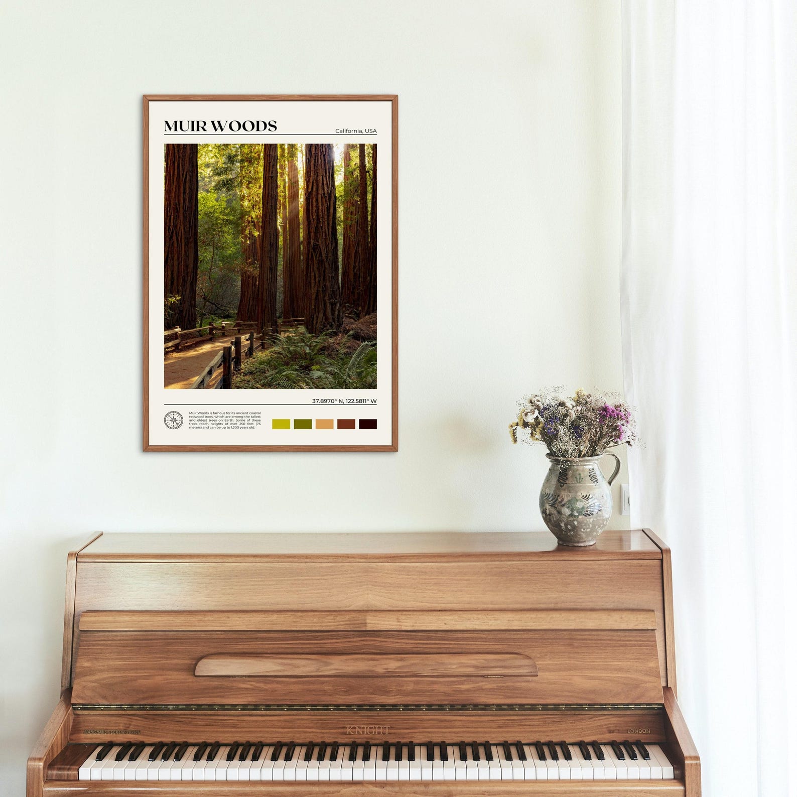 Real Photo, Muir Woods National Monument Print, Muir Woods Wall Art ...