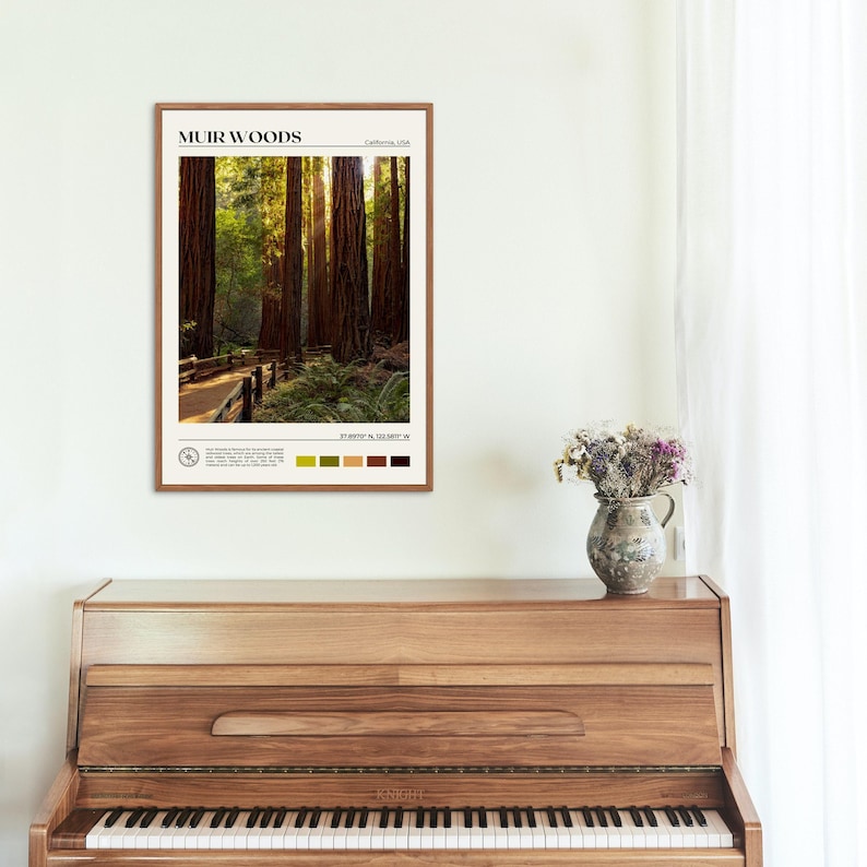 Real Photo, Muir Woods National Monument Print, Muir Woods Wall Art ...