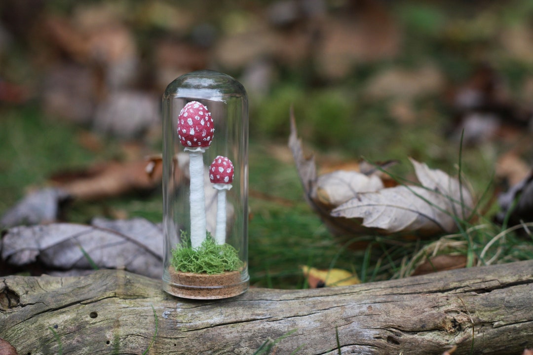 Spun Cotton Mushroom Specimen in Glass Dome Vintage Inspired ...