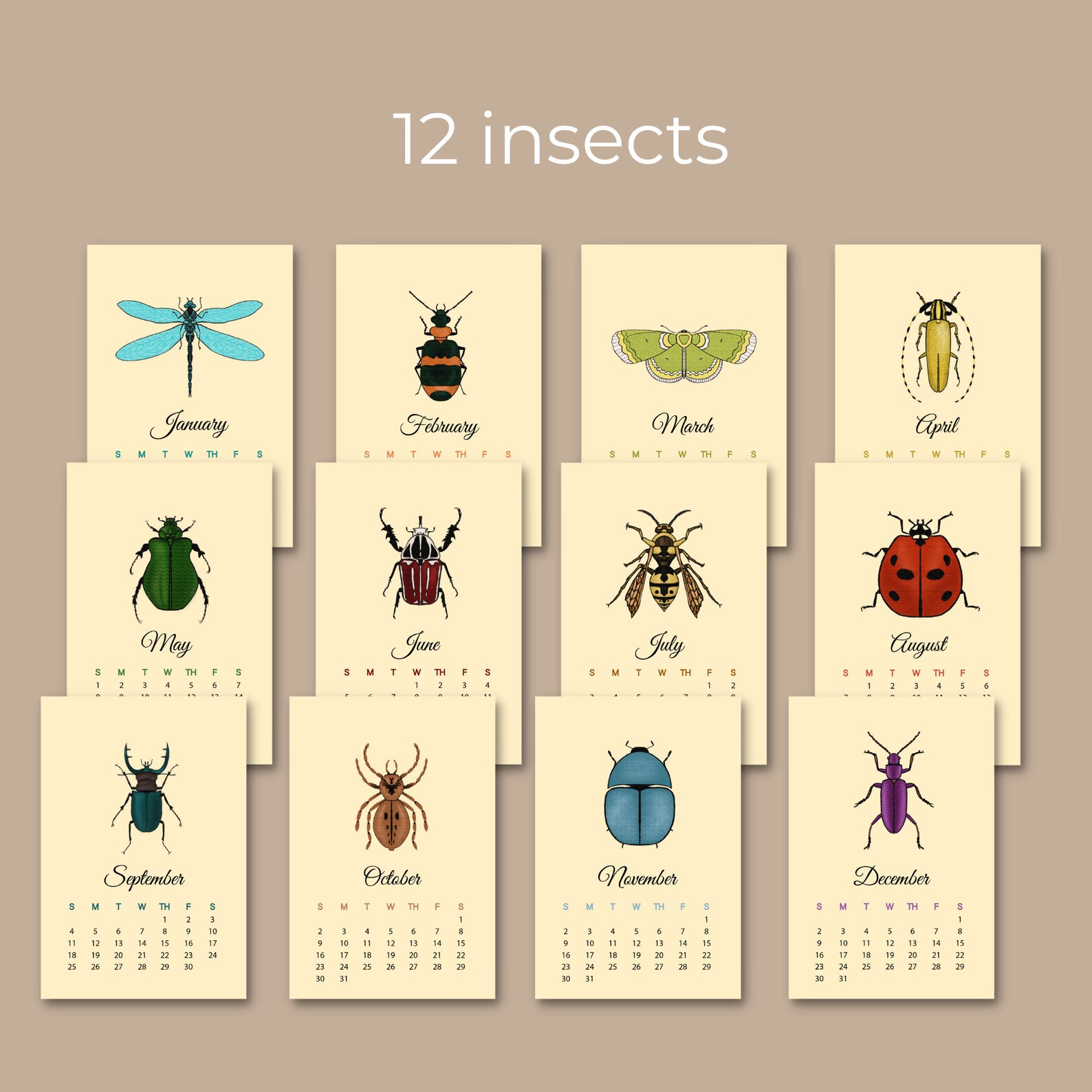 2022 Printable Calendar, 2022 Calendar Insects, 12 Months, Minimalist ...