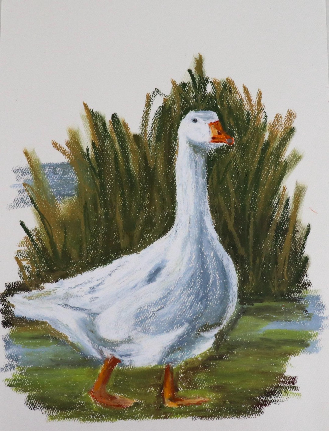 Goose – Original Oil Pastel Study – 12x9 Inches – Wildlife Art - Etsy