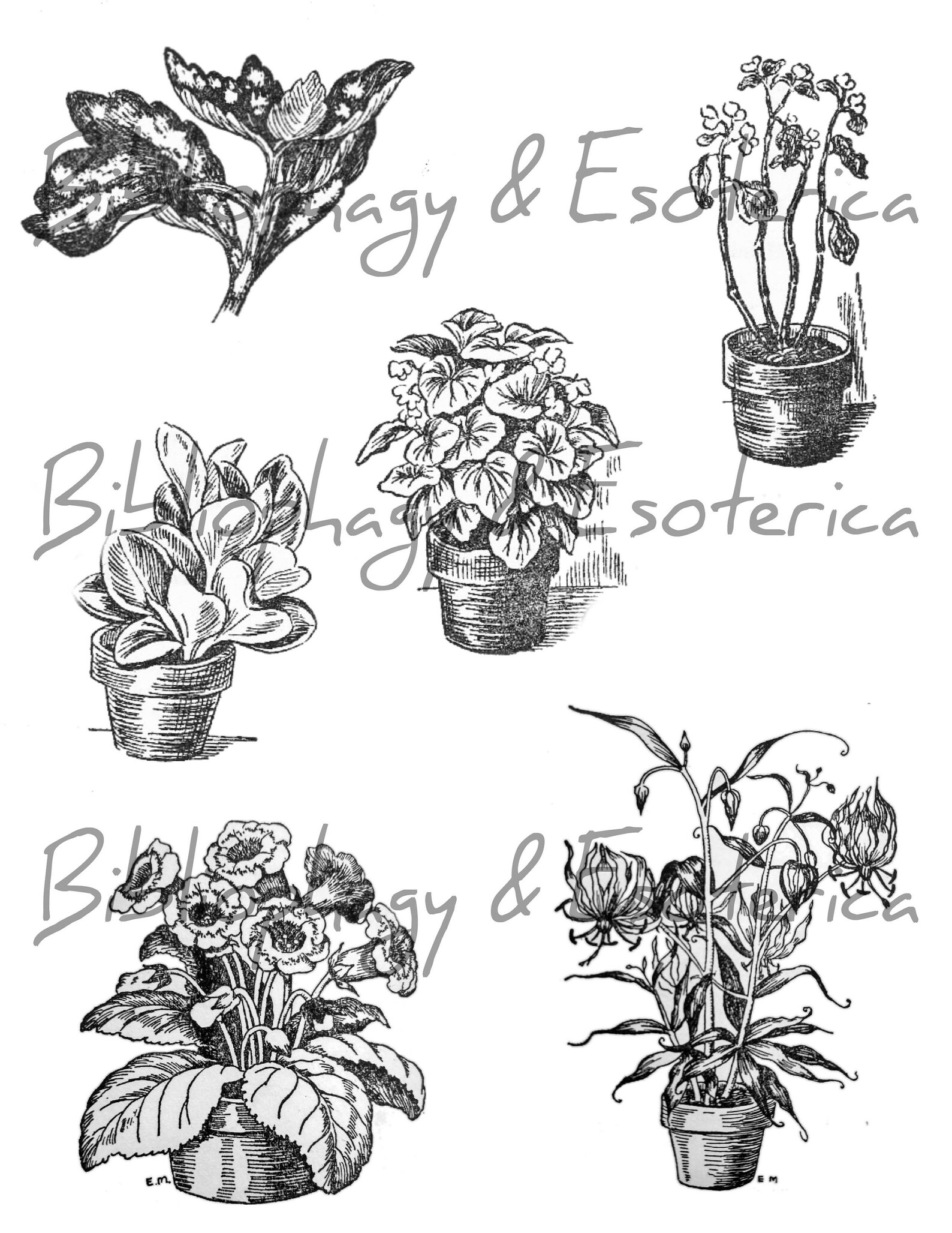Black & White Vintage Botanical Printables / Vintage Floral Sticker Set ...