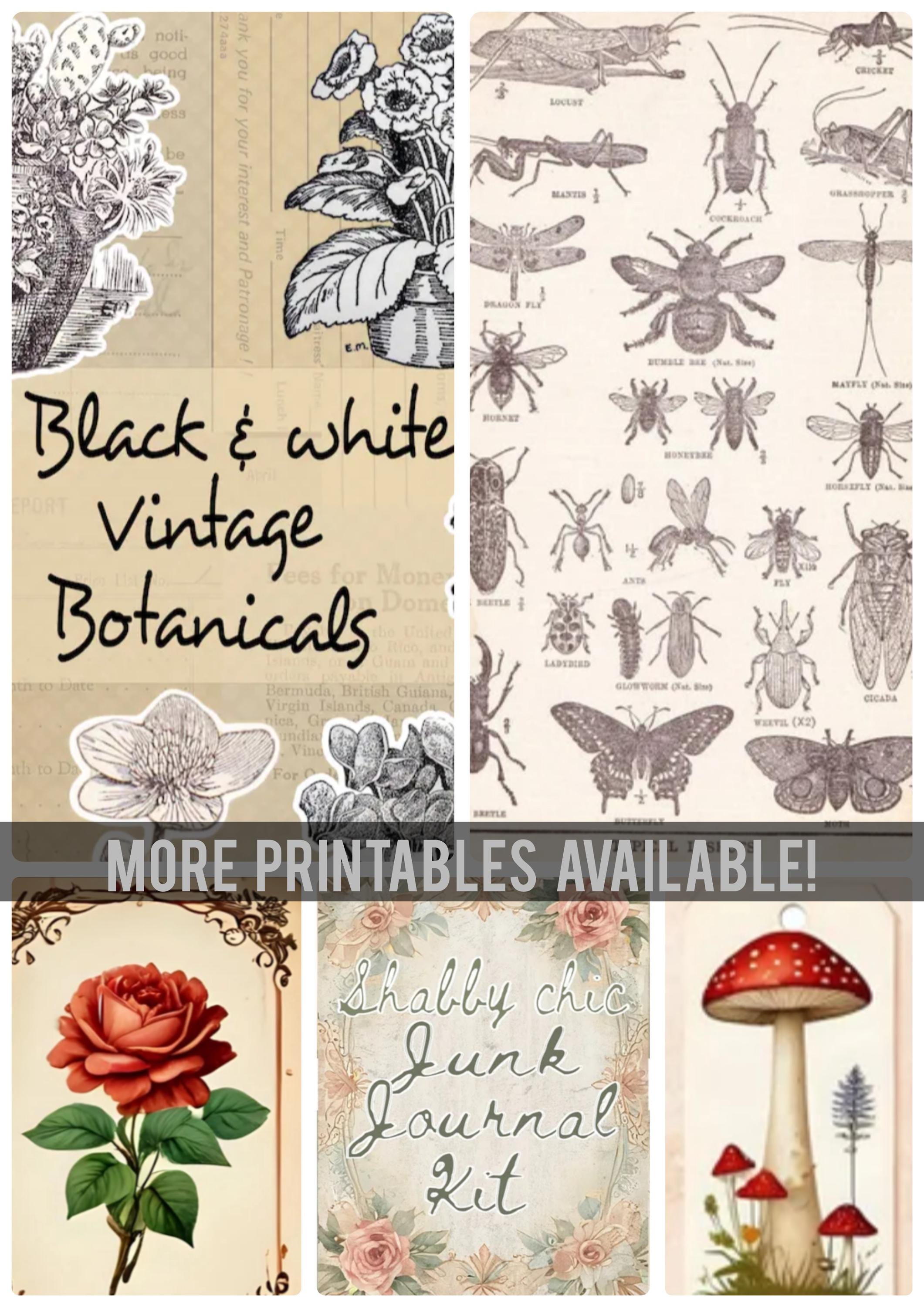 Printable Vintage Dictionary Pages & Encyclopedia Pages, Instant ...